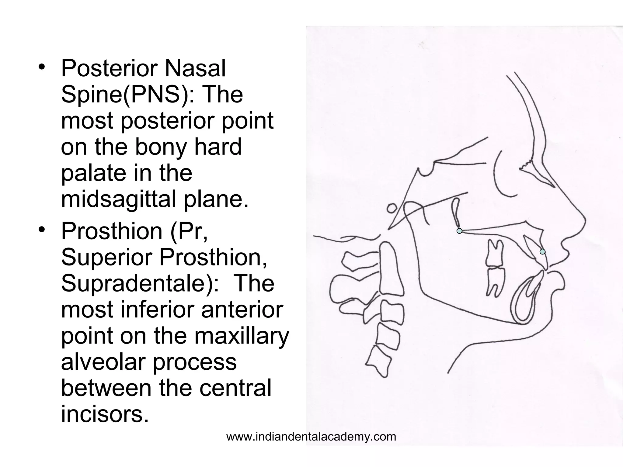 Cephalometrics for orthodontics | PPT