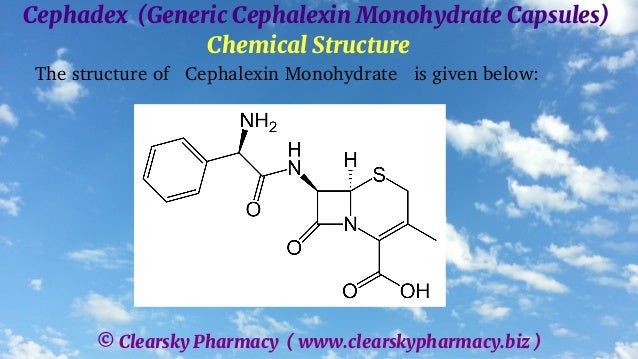 Cephadex Capsules (Generic Cephalexin Monohydrate Capsules) | PDF