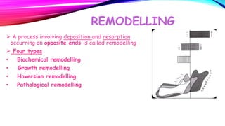 growth and development | PPTX