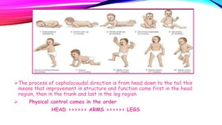 growth and development | PPTX