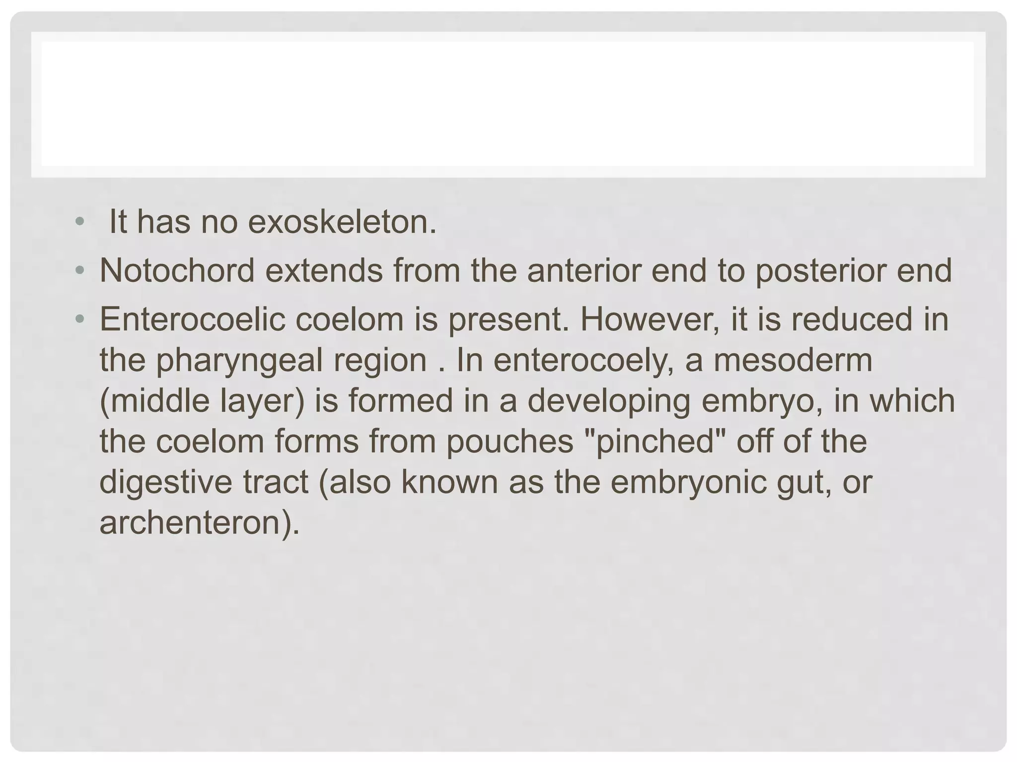 Subphylum Cephalochordata - zoology | PPTX