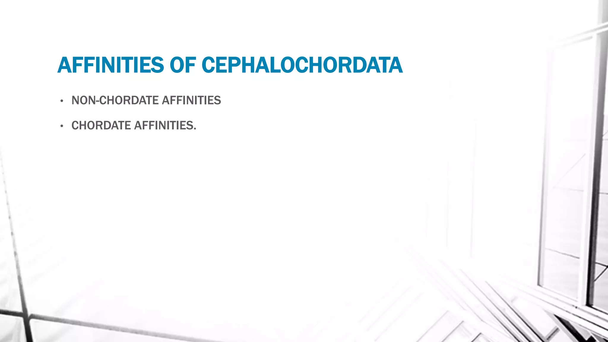 Cephalochordata | PPTX