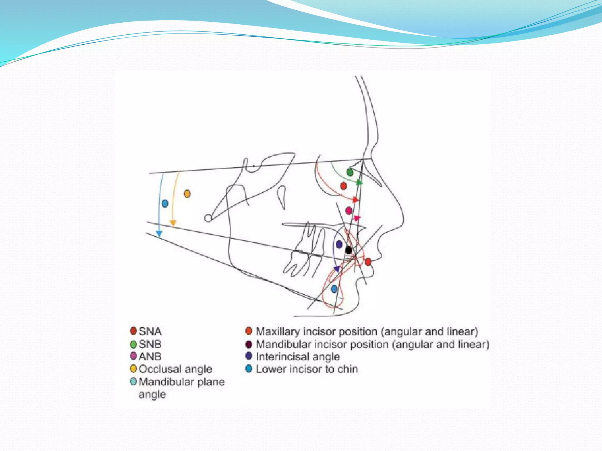 Orthodontic Cephalometric analysis | PPTX