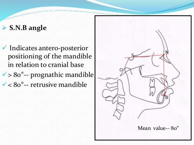 Cephalometrics