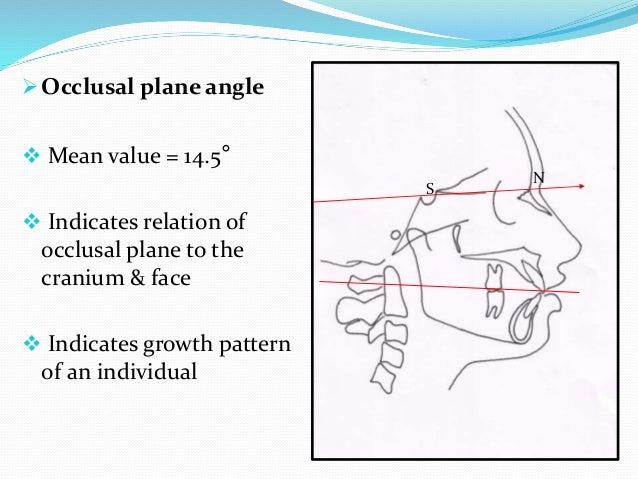 Cephalometrics