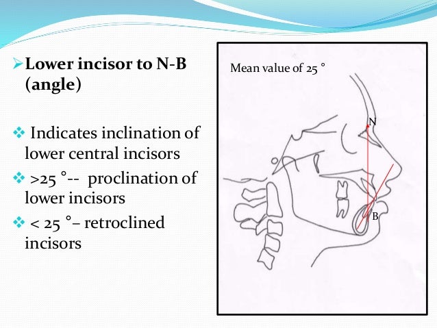Cephalometrics