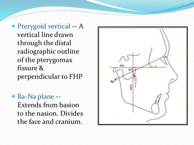Cephalometrics