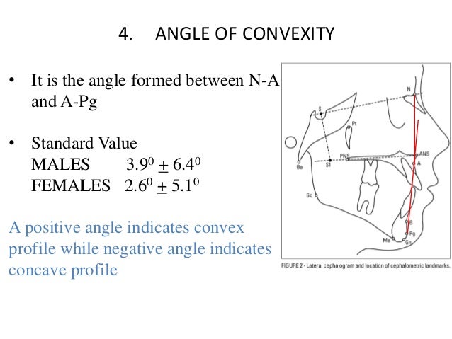Cephalometrics EVALUATION AND INTERPRETATION