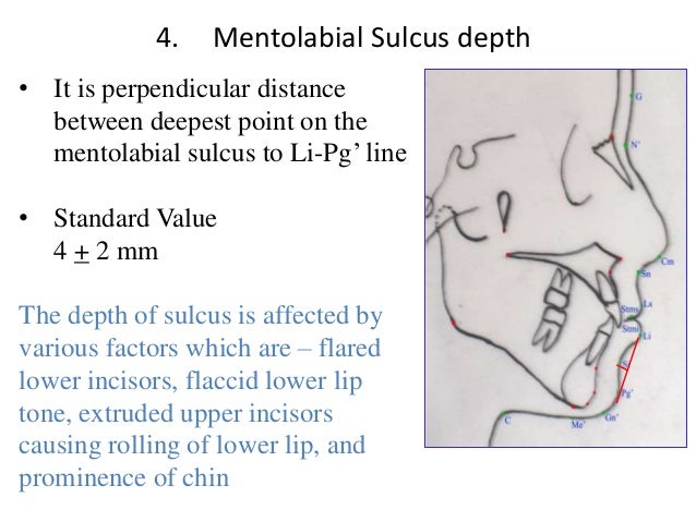 Cephalometrics EVALUATION AND INTERPRETATION