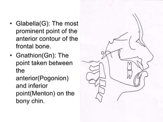 CEPHALOMETRICS.ppt A Scientific approach to the scrutiny of human ...