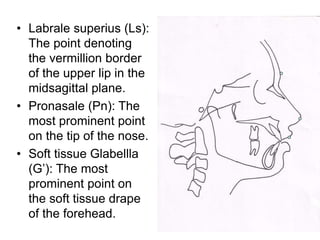 CEPHALOMETRICS.ppt A Scientific approach to the scrutiny of human ...