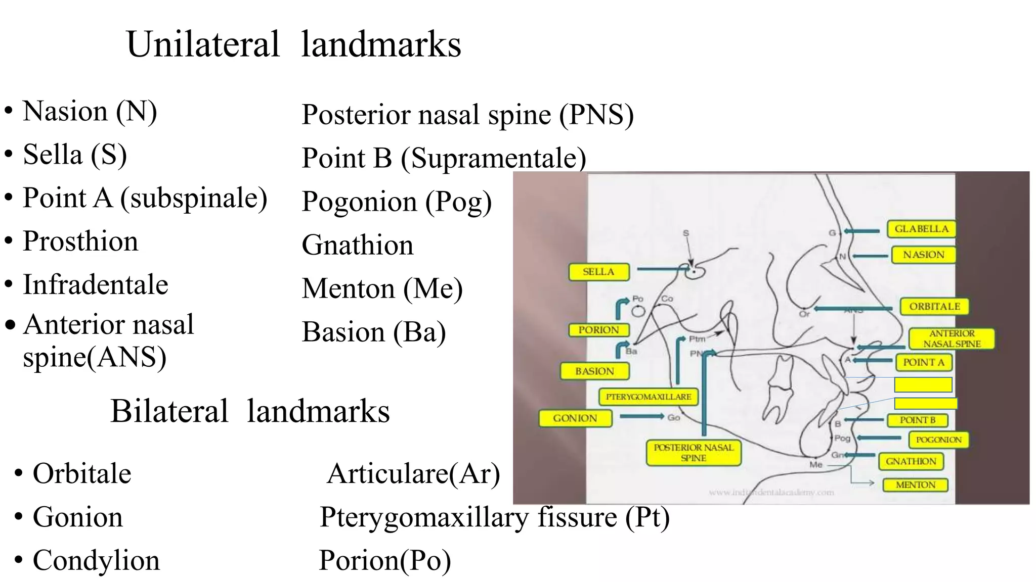 Cephalometrics analysis | PPTX