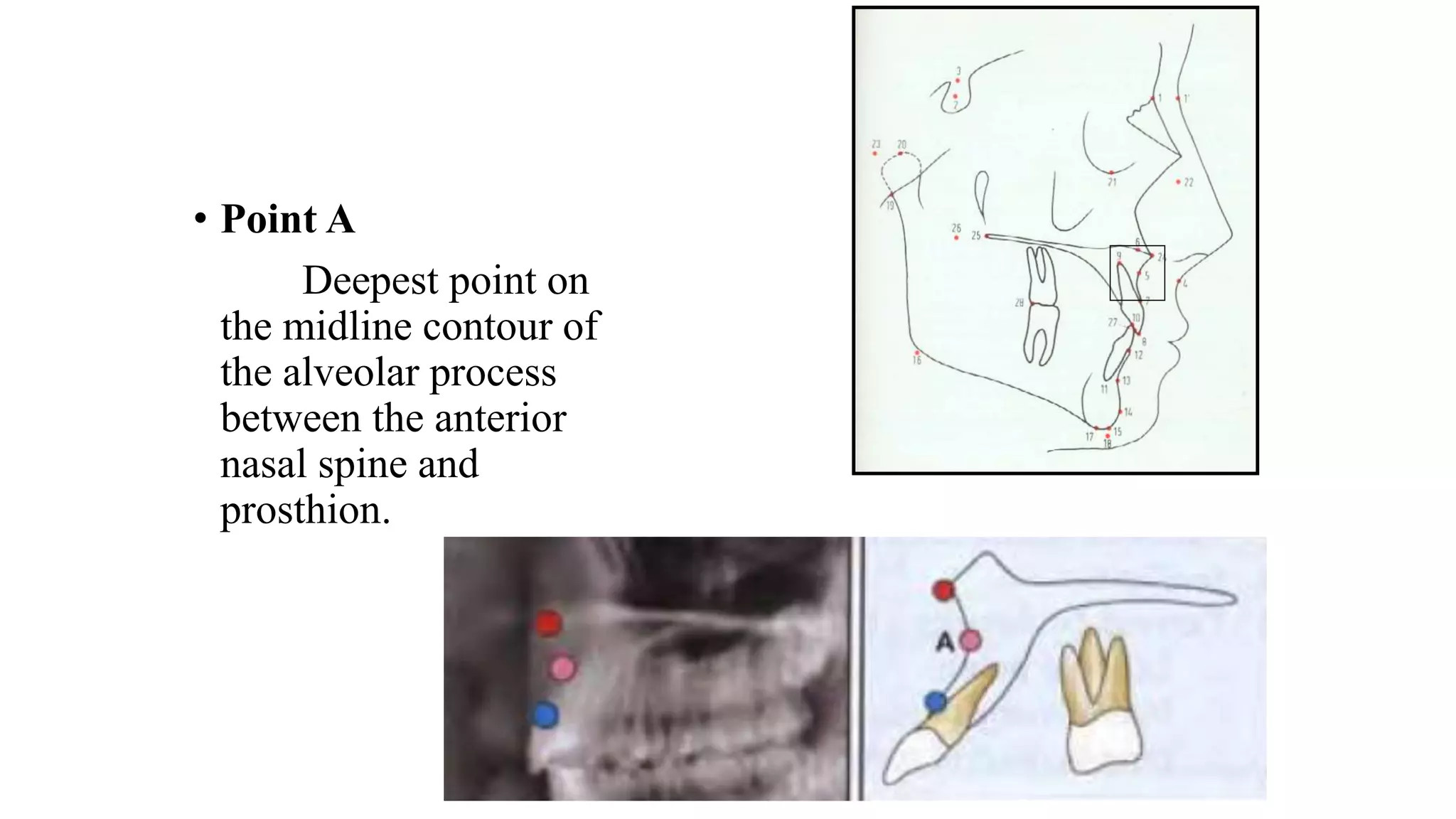 Cephalometrics analysis | PPTX