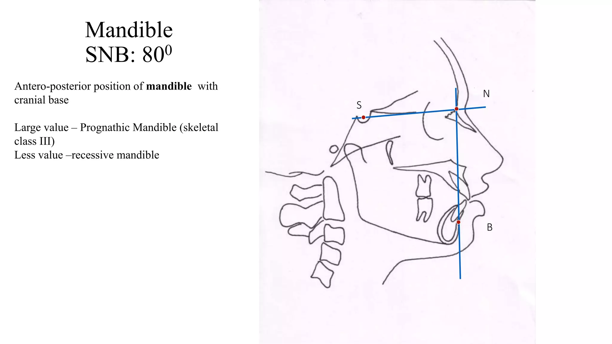 Cephalometrics analysis | PPTX