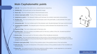 Cephalometry | PPTX