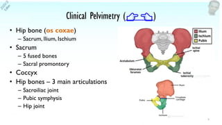 Cephalopelvic disproportion 2021 | PDF