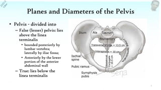 Cephalopelvic disproportion 2021 | PDF | Pregnancy | Reproductive Health