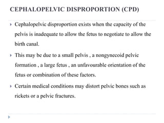 Cephalopelvic Disproportion Ppt