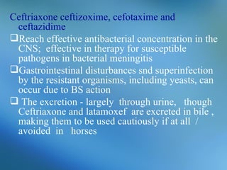 Cephalosporins penems | PPT