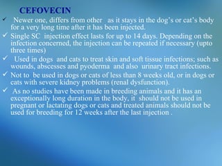 Cephalosporins penems | PPT