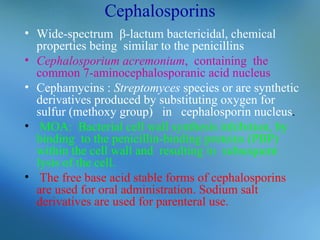 Cephalosporins penems | PPT