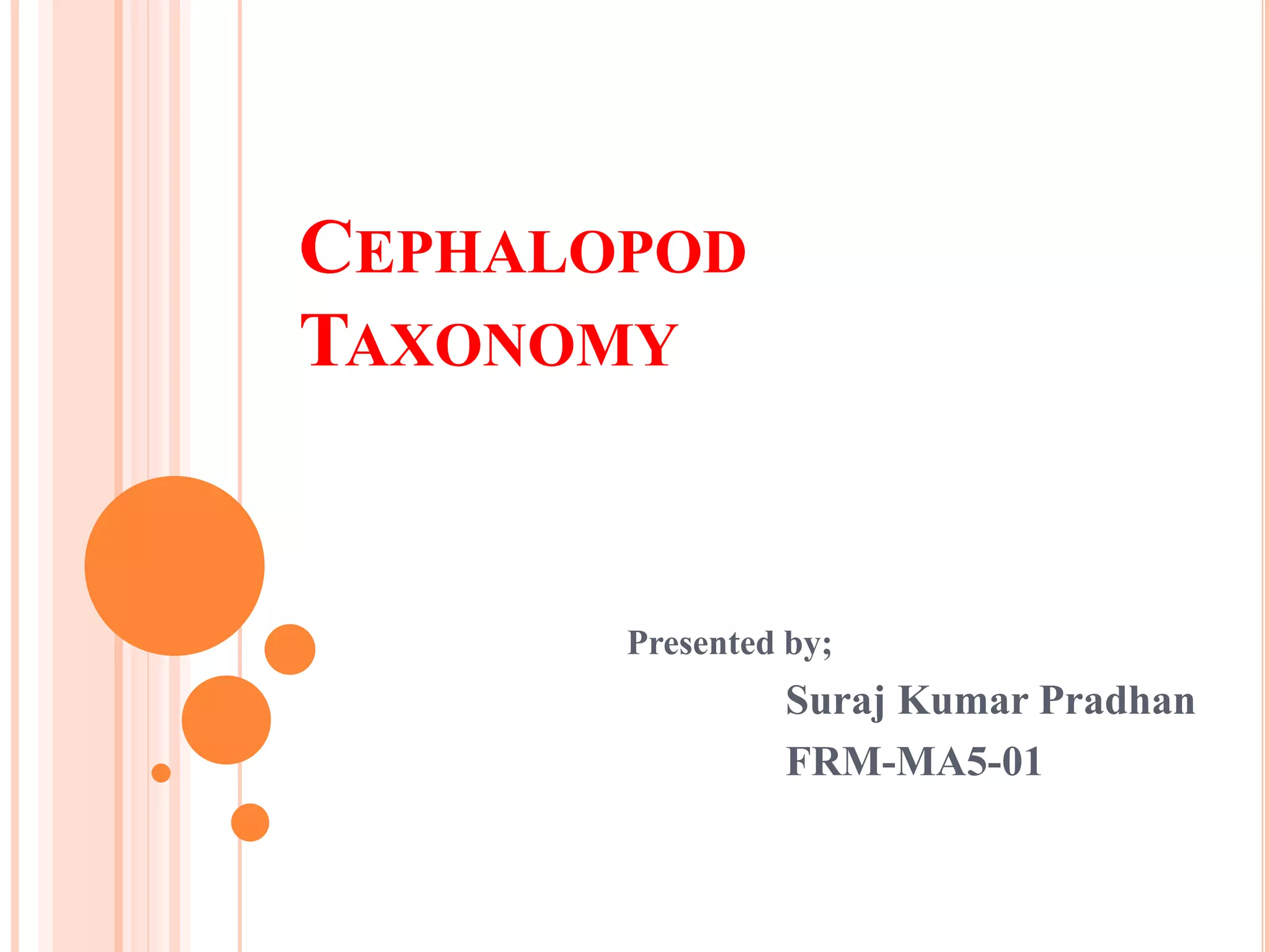 Cephalopod taxonomy | PPTX