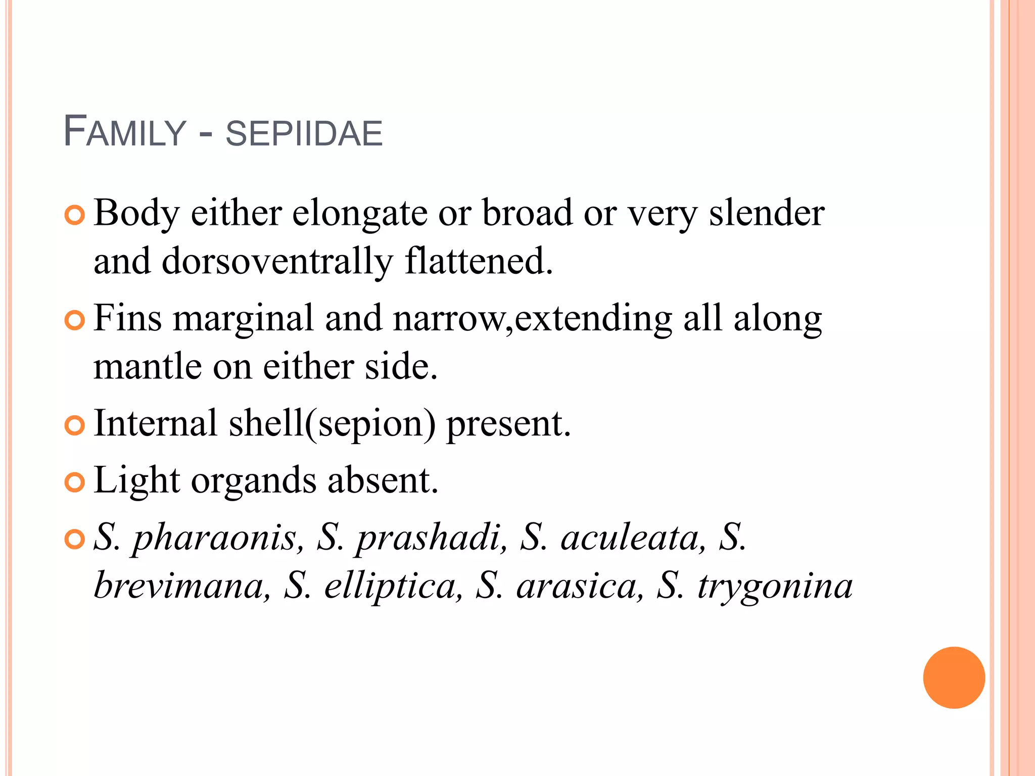 Cephalopod taxonomy | PPTX