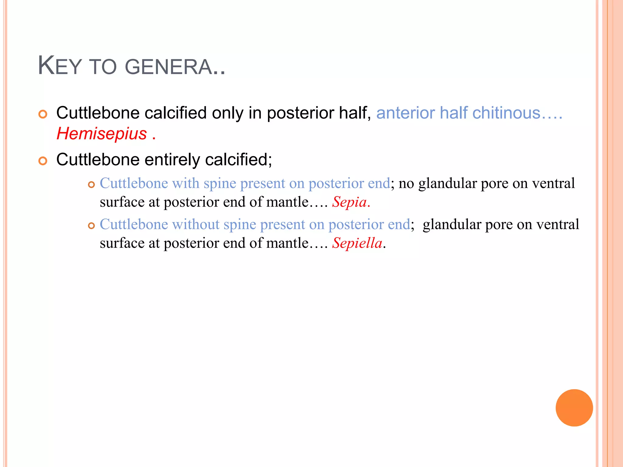 Cephalopod taxonomy | PPTX