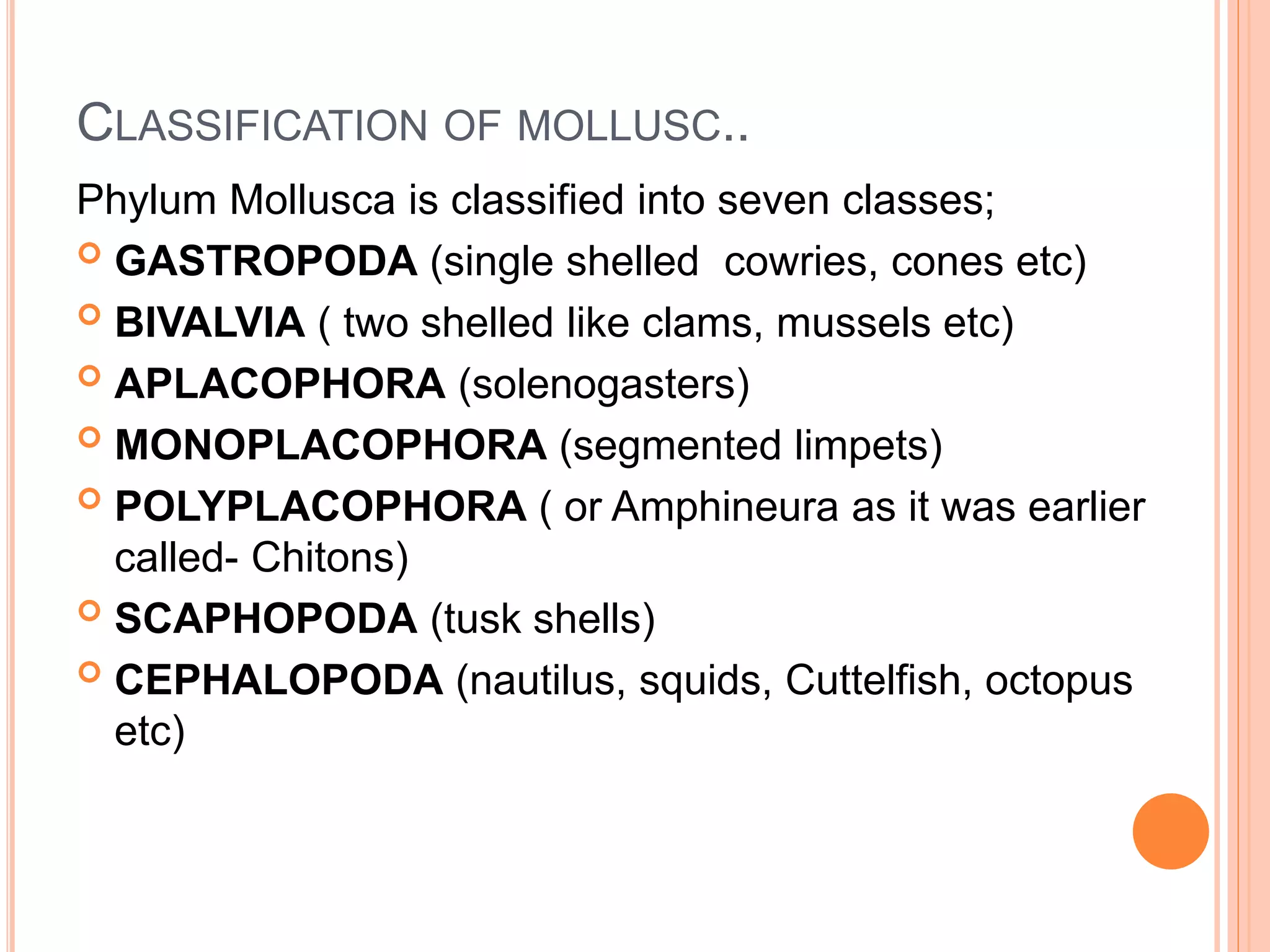 Cephalopod taxonomy | PPTX