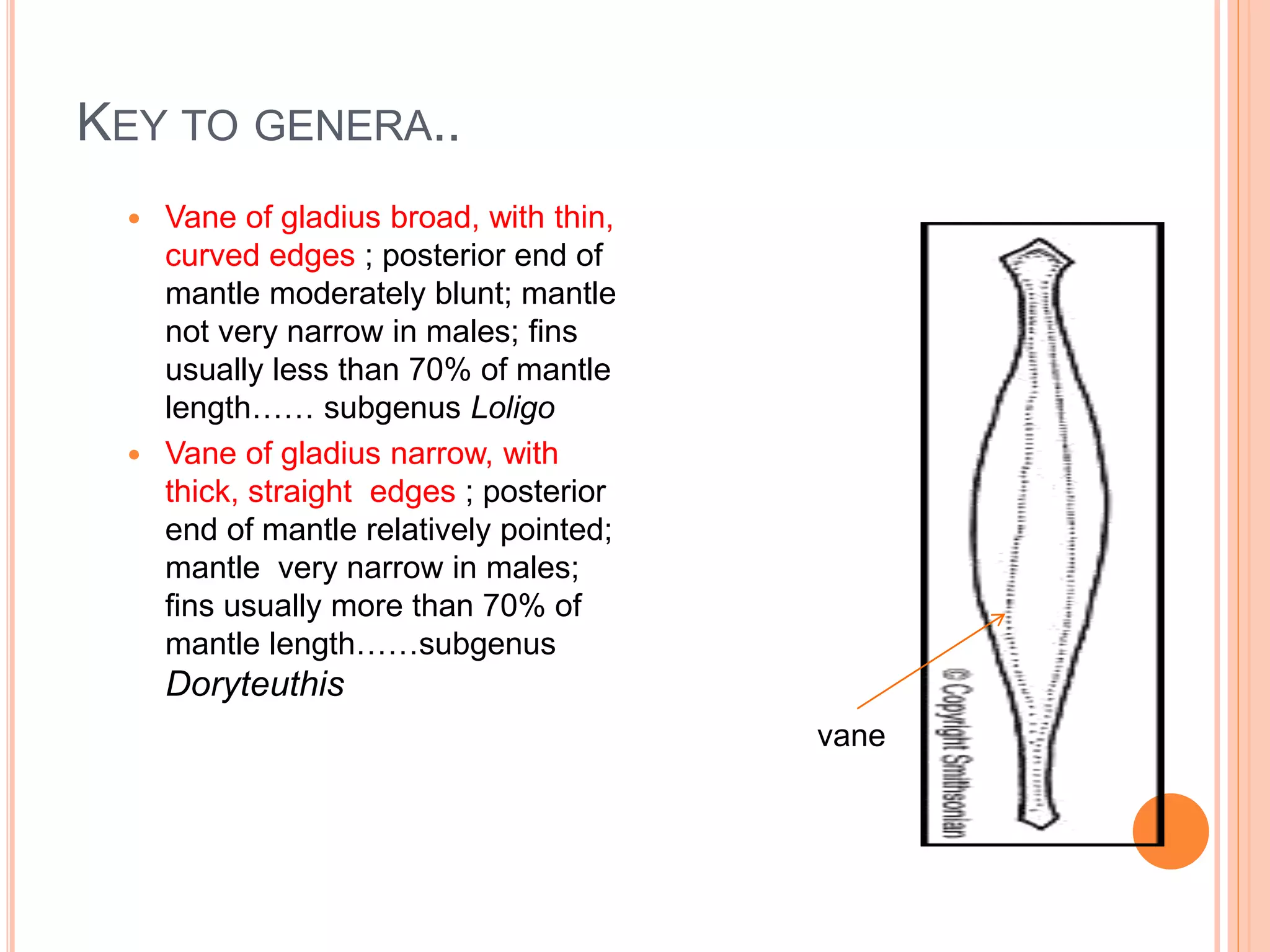 Cephalopod taxonomy | PPTX
