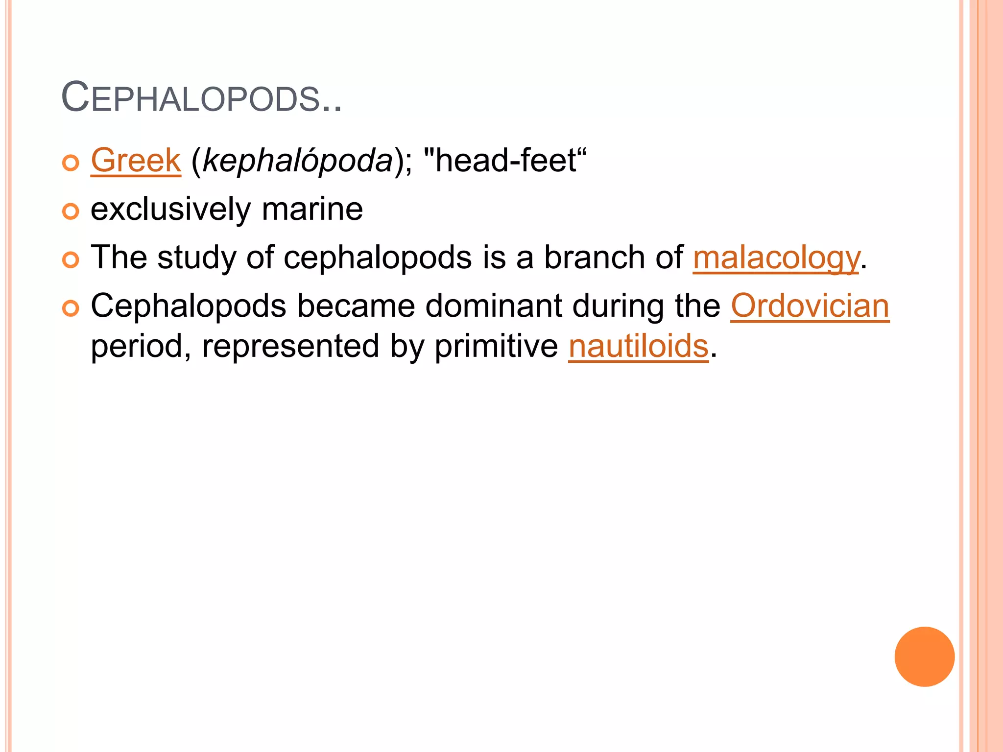 Cephalopod taxonomy | PPTX