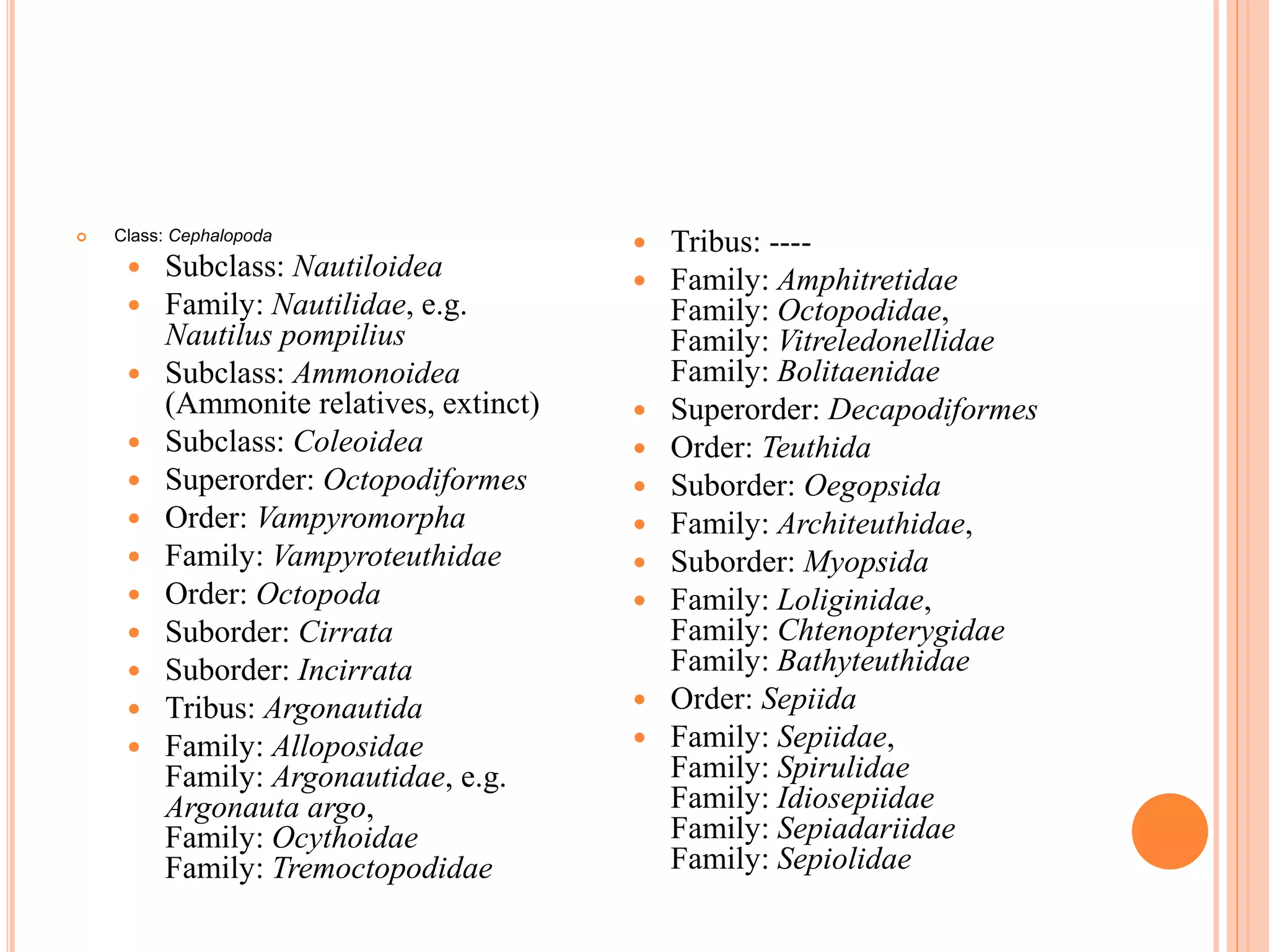 Cephalopod taxonomy | PPTX