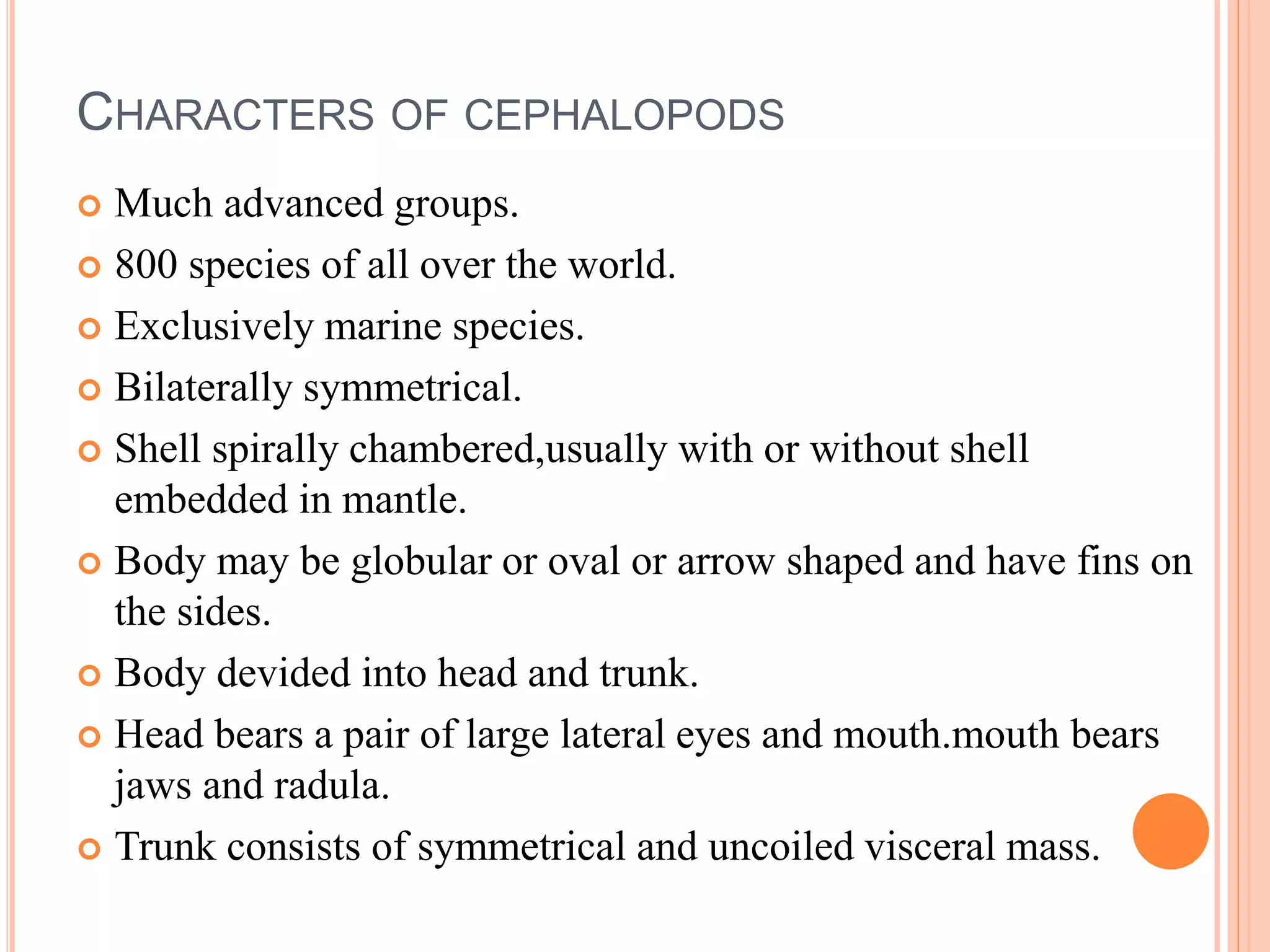 Cephalopod taxonomy | PPTX