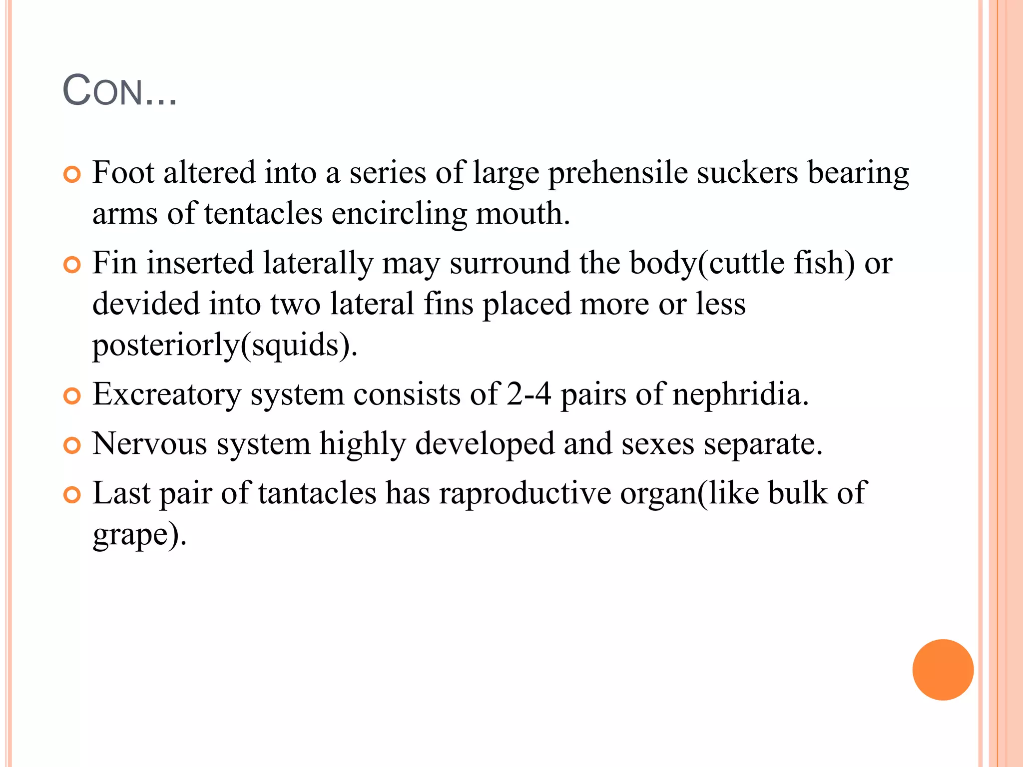 Cephalopod taxonomy | PPTX