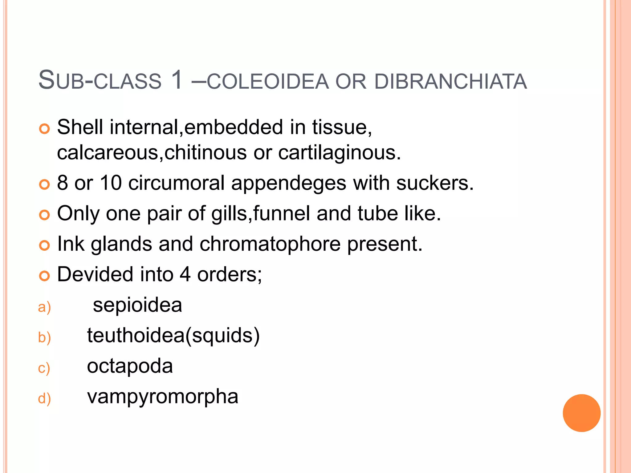 Cephalopod taxonomy | PPTX