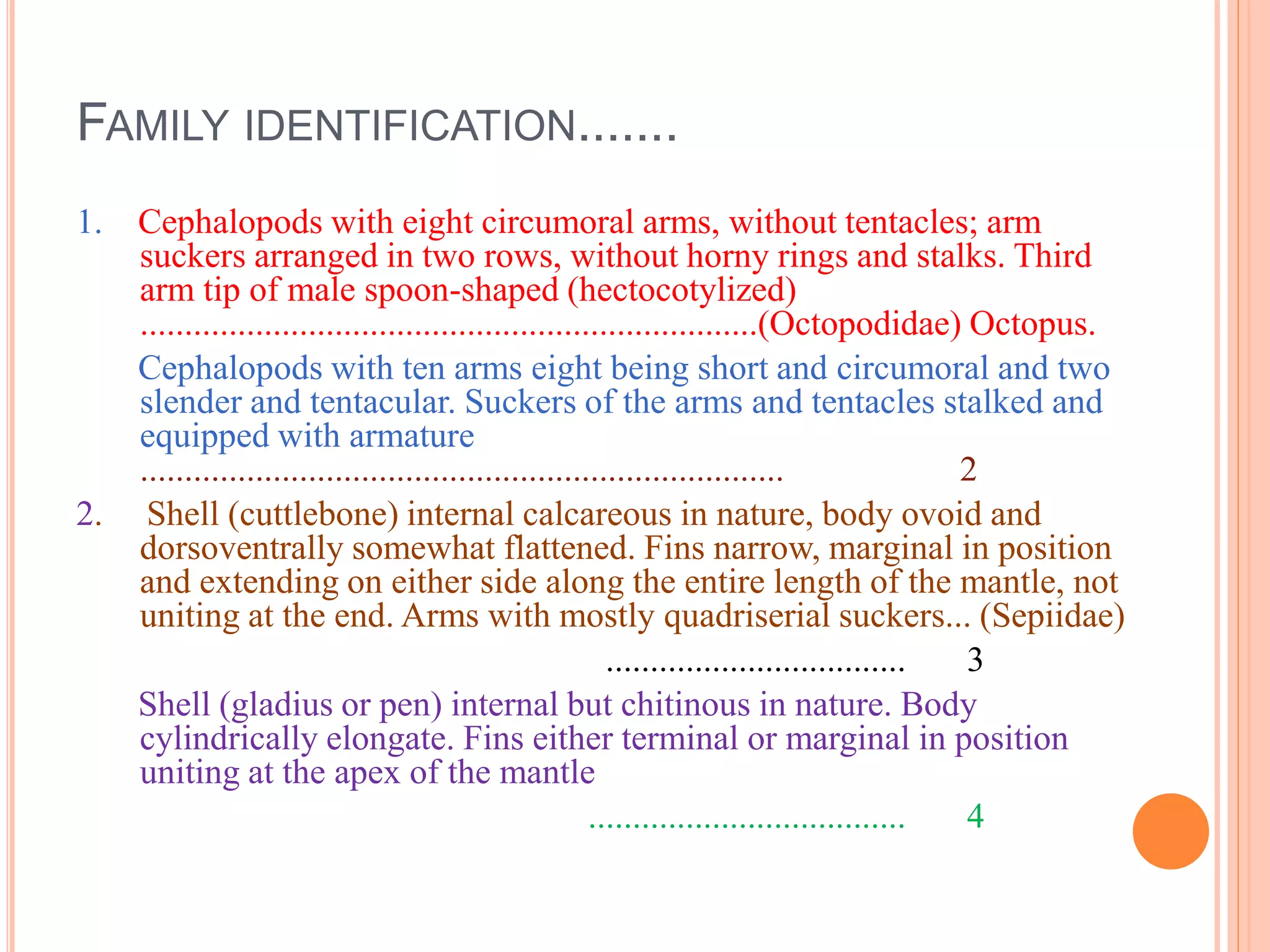 Cephalopod taxonomy | PPTX