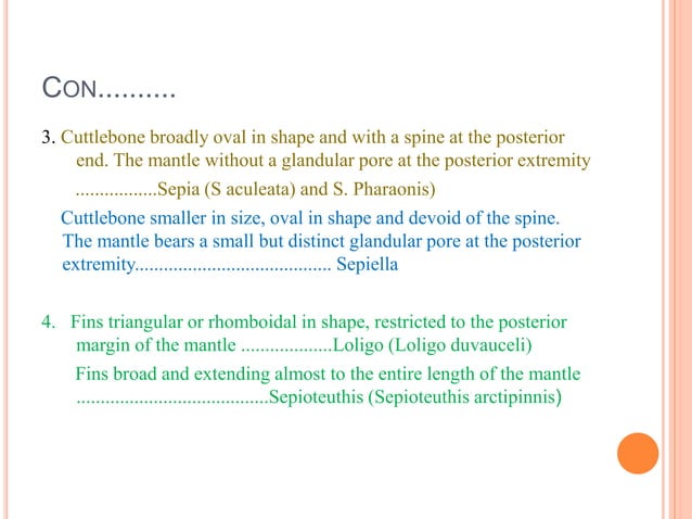 Cephalopod taxonomy | PPT