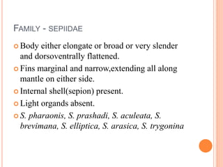 Cephalopod taxonomy | PPT