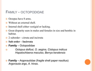 Cephalopod taxonomy | PPTX