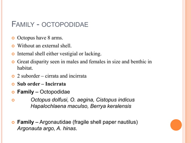 Cephalopod taxonomy | PPT