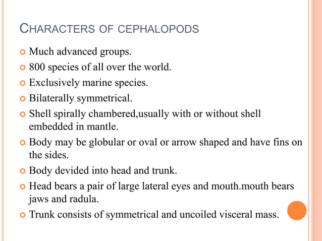 Cephalopod taxonomy | PPT