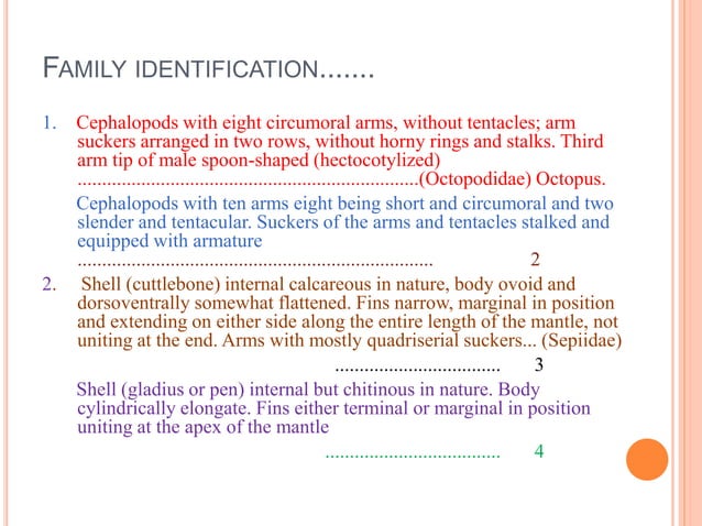 Cephalopod taxonomy | PPT