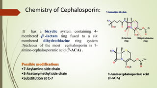 Cephalosporin Antibiotics | PPTX