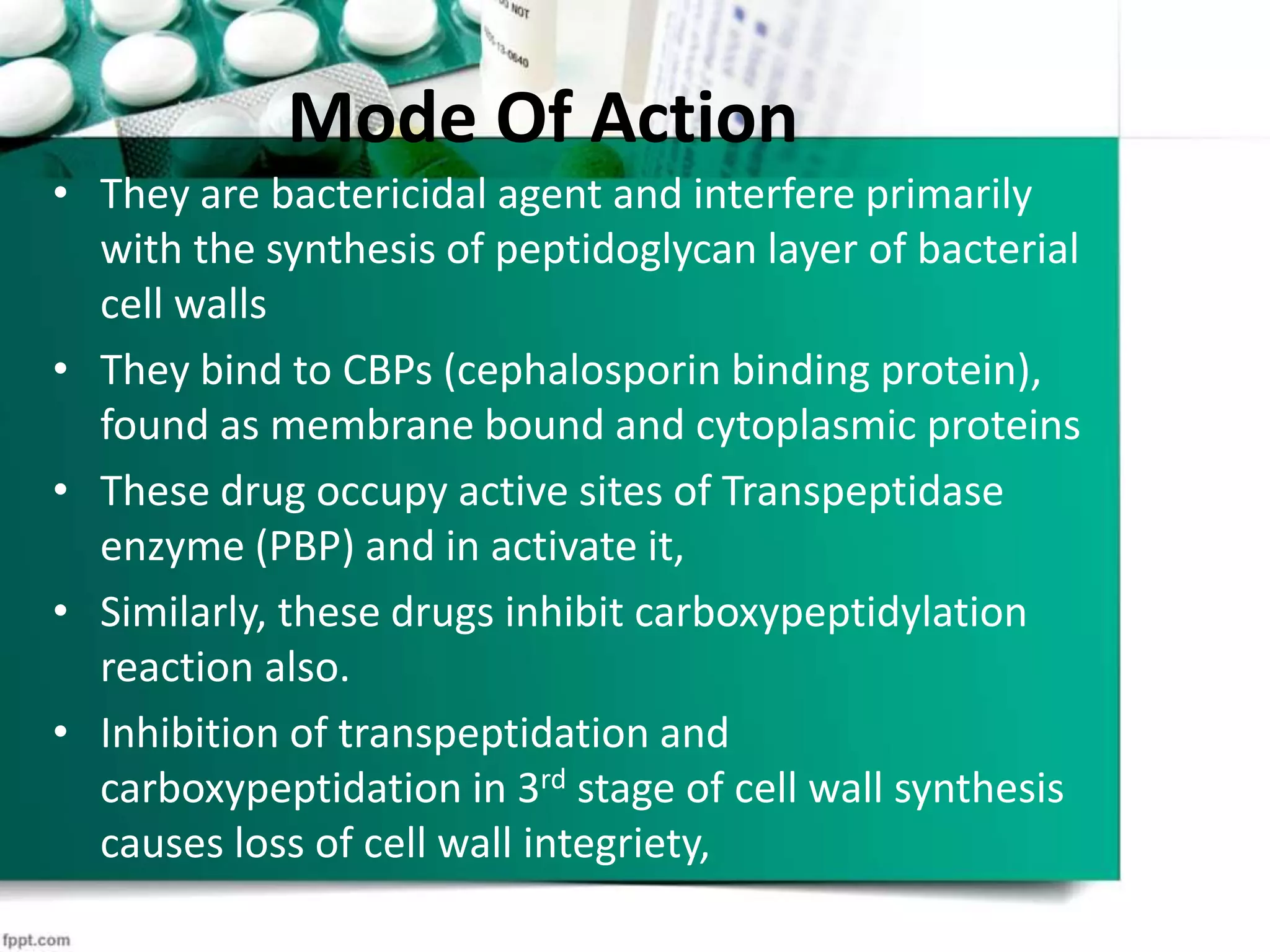 Cephalosporin Pptx