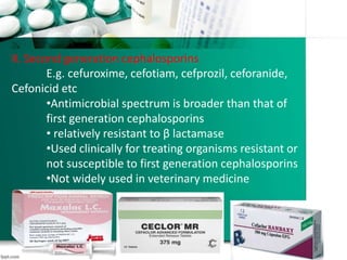 Cephalosporin | PPTX