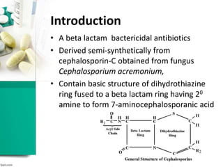 Cephalosporin | PPTX