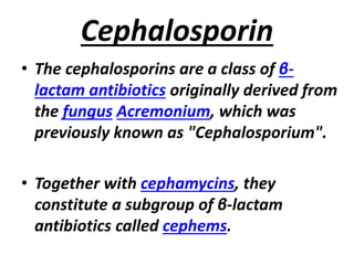 Cephalosporin | PPT