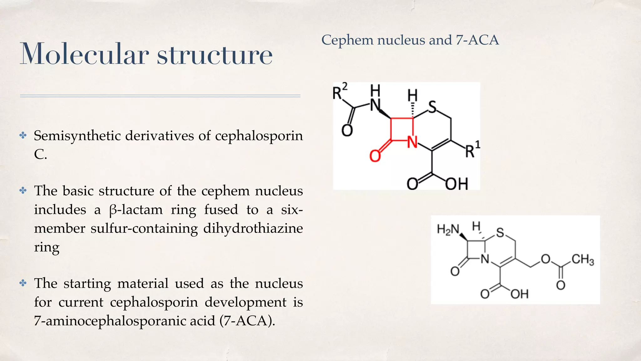 Cephalosporin | PPT