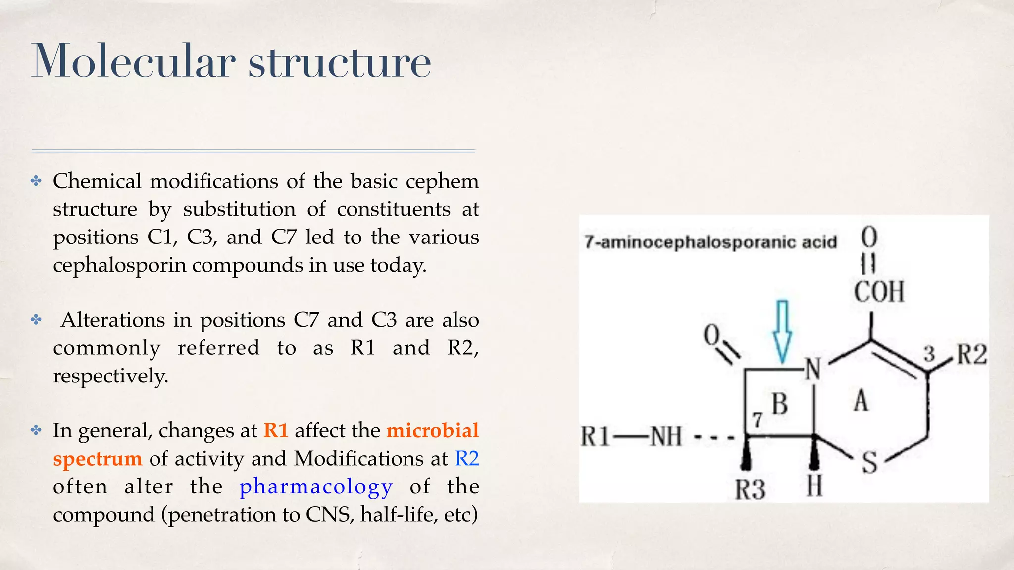 Cephalosporin Ppt