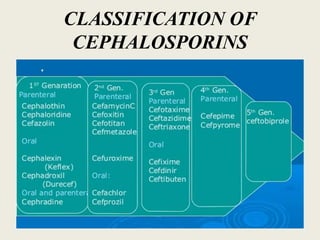 Cephalosporins Pharmacology | PPTX